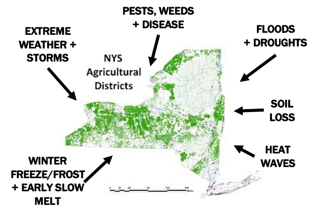 AGRICULTURE AND CLIMATE INSTABILITY IN NEW YORK: CHALLENGES AND ...